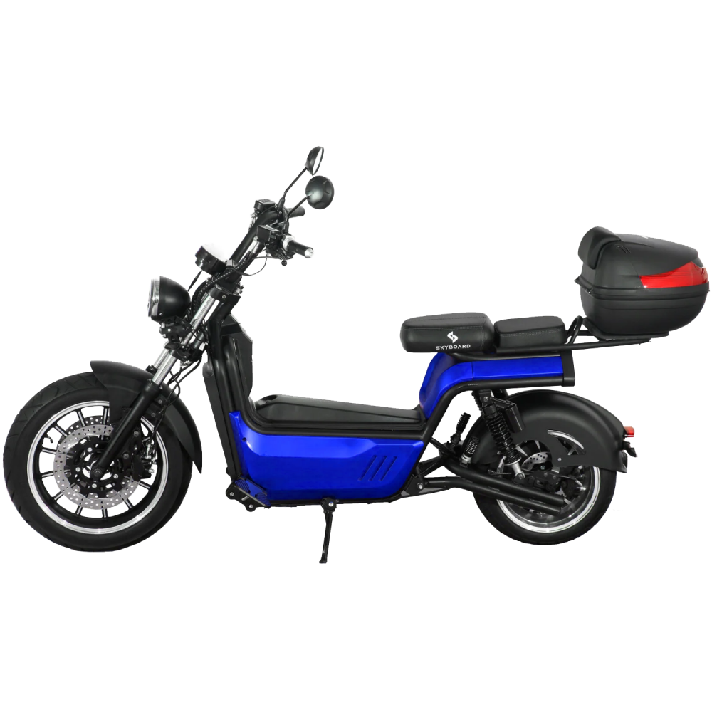 Skyboard BR100-5000 (Amur) купить в Москве - Цена, Характеристики | Магазин EcoMoto